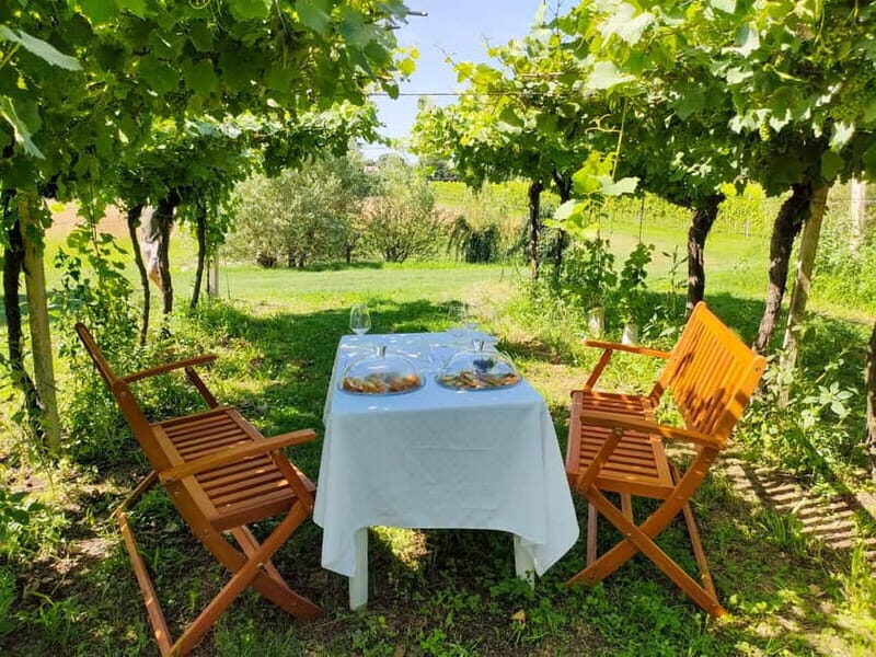 Lazise: Horseback Riding and Farm Picnic local food - What Travelers Say