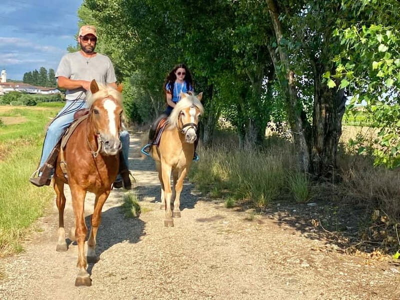 Lazise: Horseback Riding and Farm Picnic local food - Why This Tour Offers Good Value