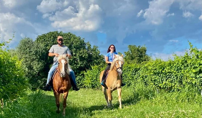 Lazise: Horseback Riding and Farm Picnic local food - FAQs