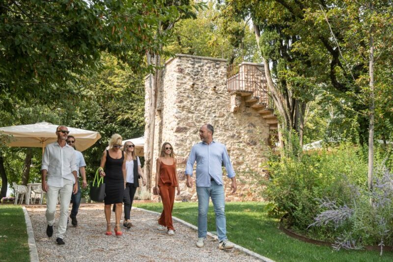 Lazise: Vineyard Tour and Organic Wine Tasting - Why This Tour Is Worth Your Time