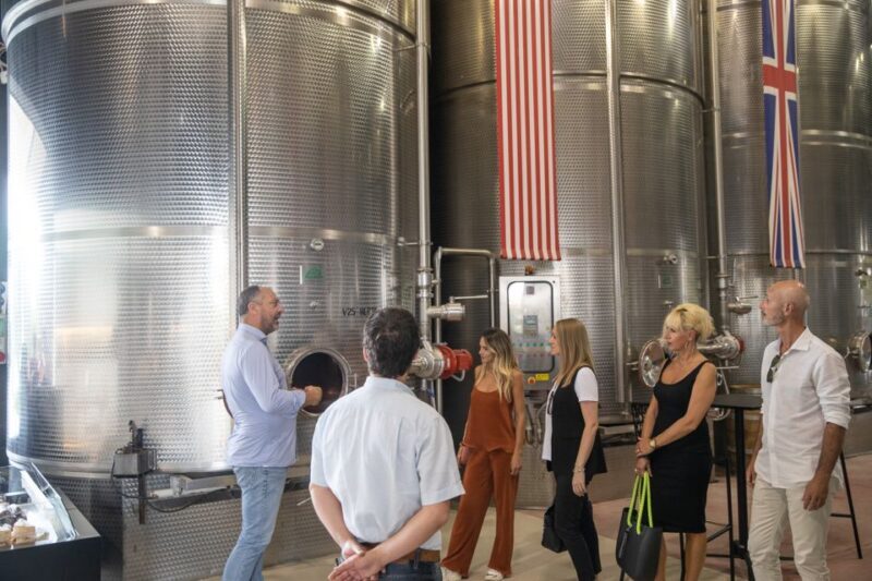 Lazise: Vineyard Tour and Organic Wine Tasting - The Experience From a Traveler’s Perspective