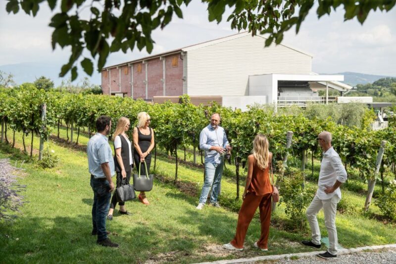 Lazise: Vineyard Tour and Organic Wine Tasting - Practical Tips for Visitors
