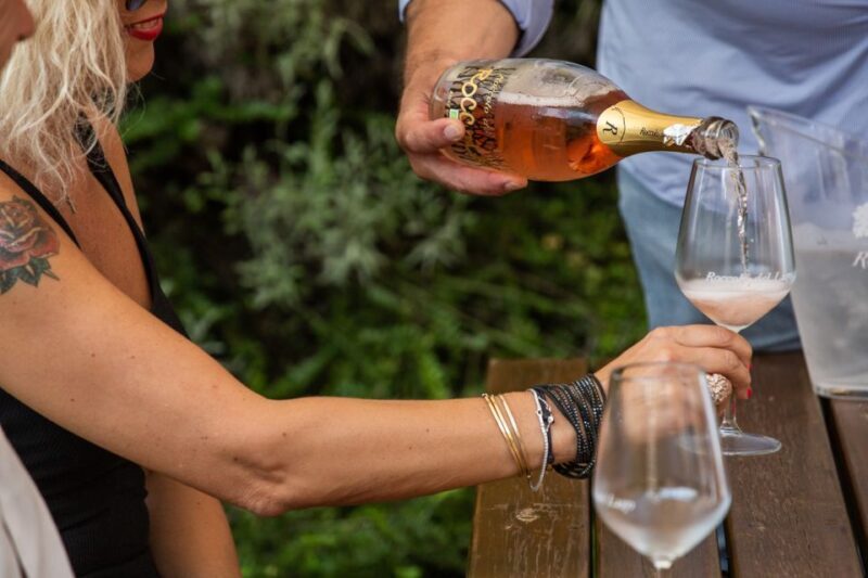 Lazise: Vineyard Tour and Organic Wine Tasting - Who Will Love This Tour?
