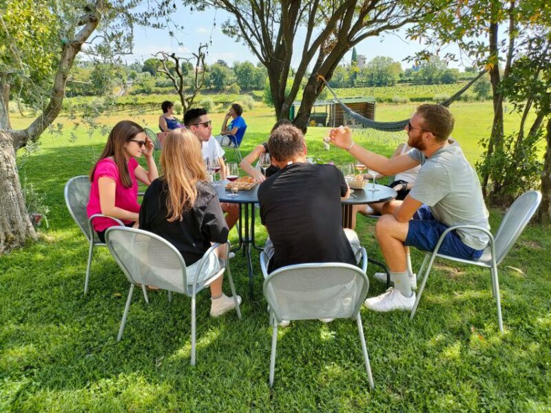Lazise: Wine Tasting with Charcuterie and Cheese Board - Key Points