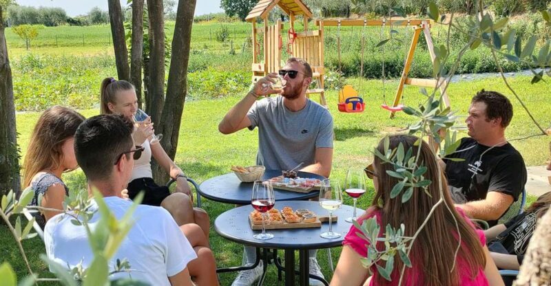 Lazise: Wine Tasting with Charcuterie and Cheese Board - Introduction to the Experience