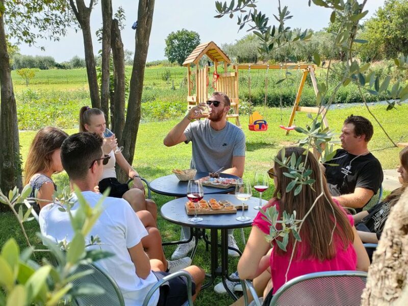 Lazise: Wine Tasting with Charcuterie and Cheese Board - Analyzing Value and Practical Aspects
