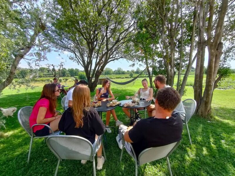 Lazise: Wine Tasting with Charcuterie and Cheese Board - Who Should Consider This Tour?
