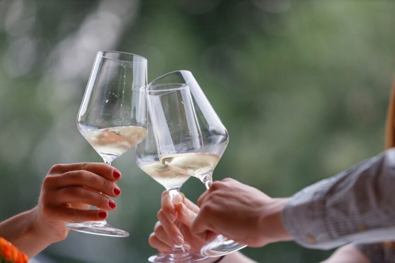Lazise: Winery Tour with Garda Wines and Food Tasting - Who Will Enjoy This Tour Most?