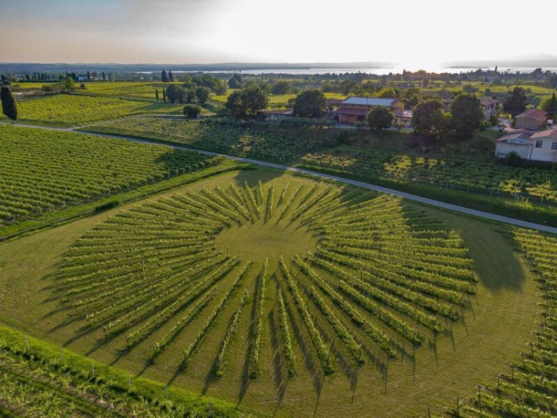 Lazise: Winery Tour with Garda Wines and Food Tasting - Final Thoughts: Is It Worth It?