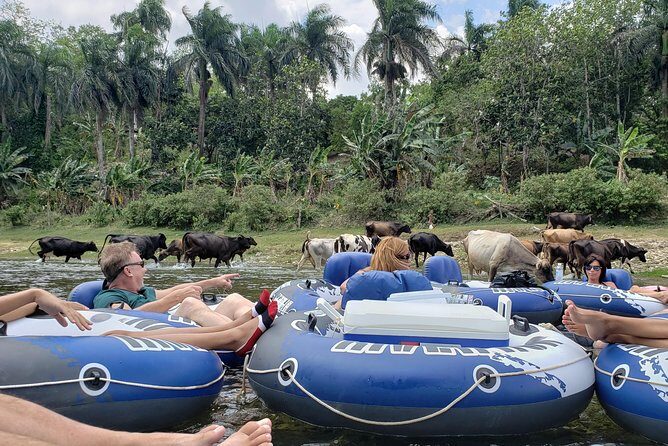 Lazy River Tubing Cabarete, Dominican Republic - Who Should Consider This Tour?