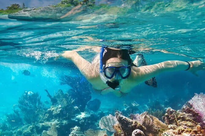Lazy Similan Islands : Catamaran, Snorkeling & Lunch in Paradise - The Sum Up