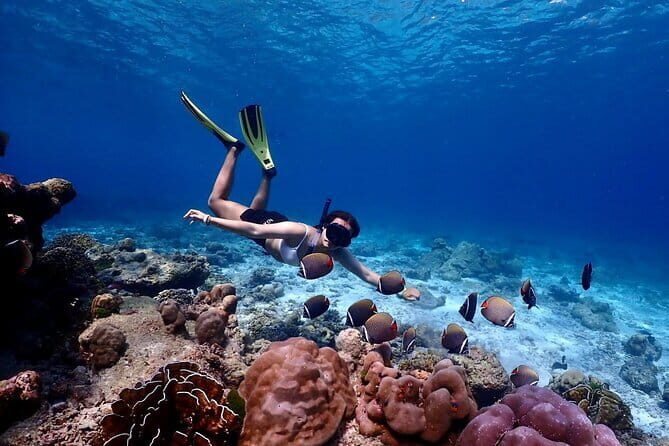 Lazy Similan Islands Marine Journey by Speedboat from Phuket - Exploring the Similan Islands