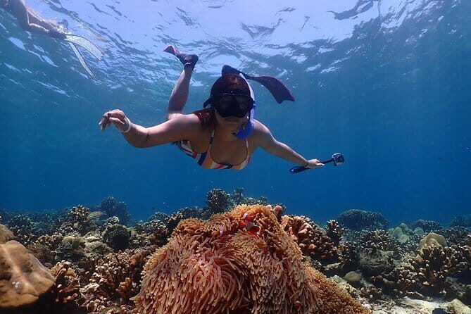 Lazy Similan Snorkeling by Speed Catamaran from Phuket - FAQ