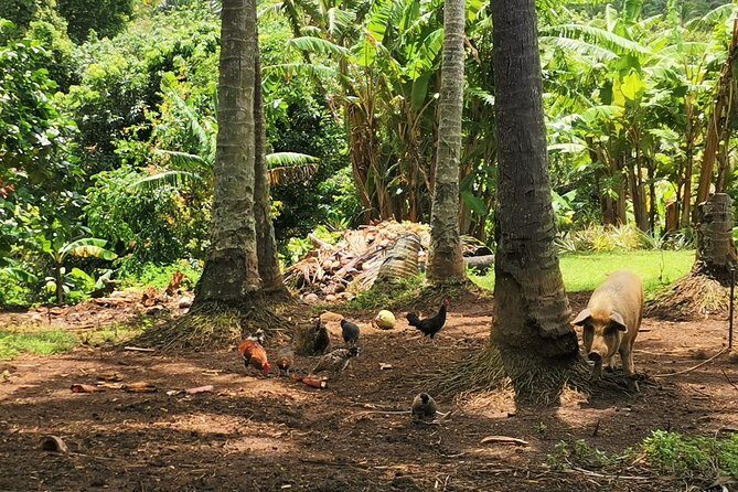 'Lazy Sunday' Sunday Bicycle Tour - The Itinerary in Detail: What to Expect