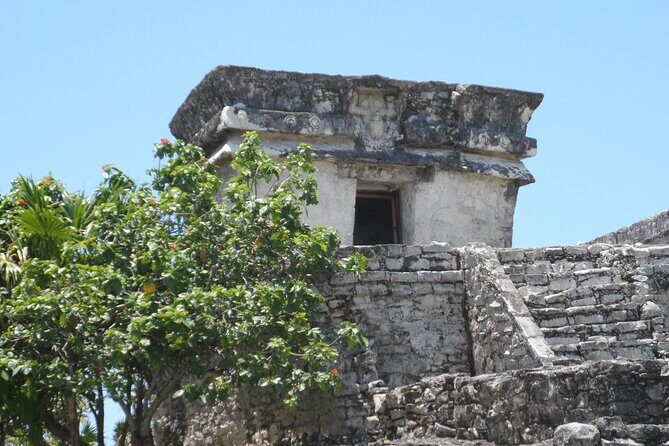 LDS Tour to Tulum Ruins + Cenote - Practicalities and What to Know
