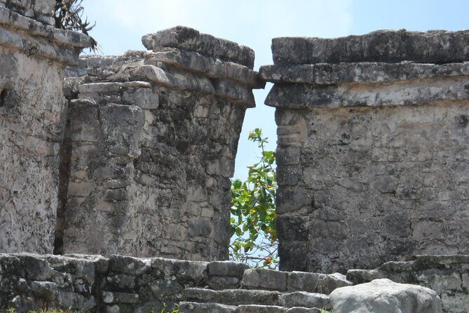 LDS Tour to Tulum Ruins + Cenote - The Sum Up