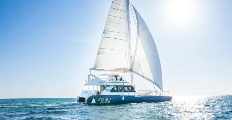 Le Grau-du-Roi : Sailing catamaran tour along the coasts - Authenticity and Reviews: What Travelers Say