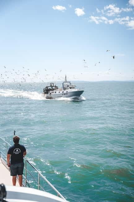 Le Grau-du-Roi - Sea trip to meet the fishing trawlers - Practical Details and Value