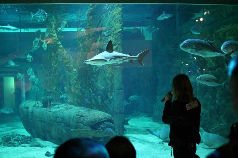 Le Grau-du-Roi: Seaquarium Skip-the-Line Entrance Ticket - What You Can Expect from Your Visit to Le Grau-du-Roi Seaquarium