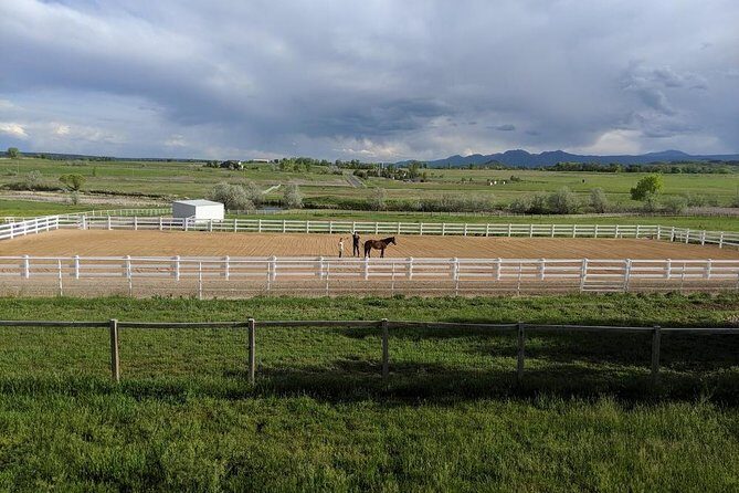 Leadership & Mindfulness Retreat with Horses - Individual & Group - Who Should Consider This Tour?
