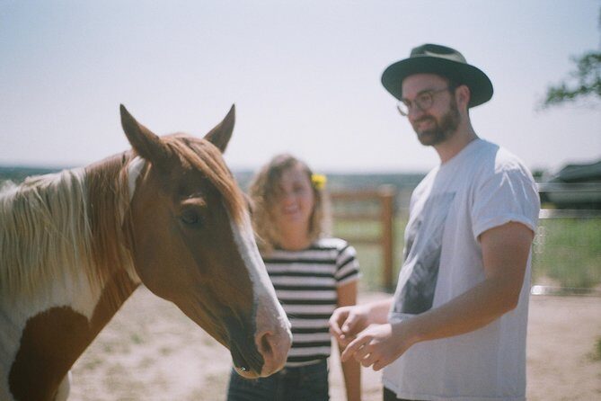 Leadership & Mindfulness Retreat with Horses - Individual & Group - Final Thoughts: Who Is This Experience Best For?