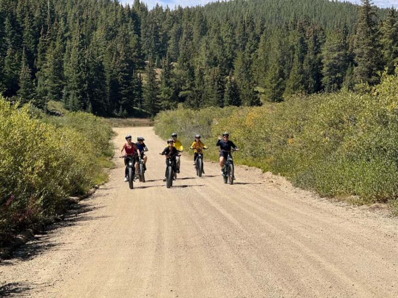 Leadville: Route of the Silver Kings Guided E-Bike Tour - Exploring the Leadville E-Bike Tour: In Depth