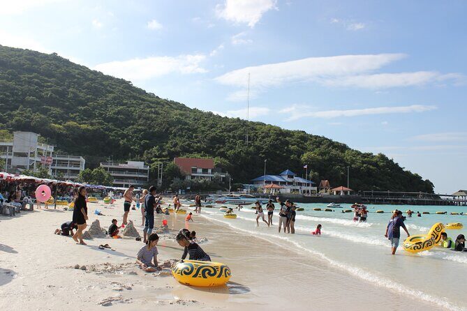 Leam Chabang Port To Pattaya Cultural Exploration Tour - Practical Details