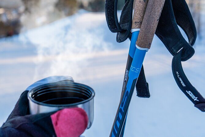 Learn Nordic Skiing - Private Class with Professional Instructor - Authenticity and Cultural Significance