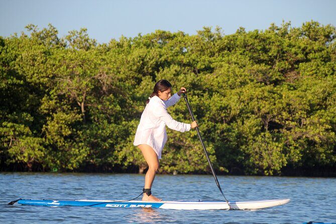 Learn Paddle Board and Explore the Mangroves of Progreso - Practicalities and Tips for Travelers