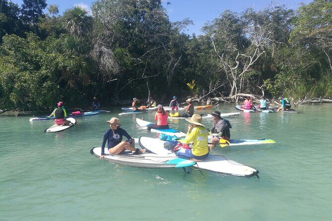 Learn Paddle Board and Explore the Mangroves of Progreso - FAQs