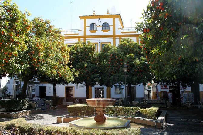 Learn Spanish Seville Santa Cruz Walking Tour - An Authentic Dive into Seville’s Heart While Learning Spanish