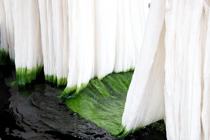 Learn The Art Of Textile Dyeing In Sanganer, Near Jaipur - Introduction