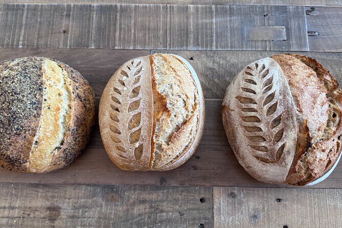 Learn the art of traditional sourdough bread - What to Expect from the Sourdough Workshop