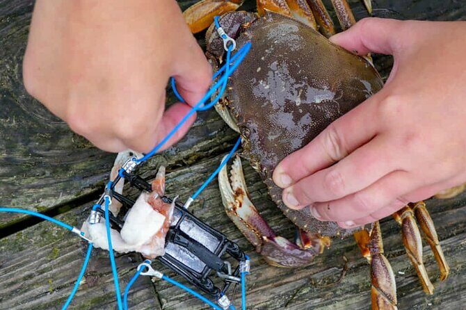 Learn to Catch and Cook Crab under Golden Gate Bridge SF - Authentic Guest Perspectives