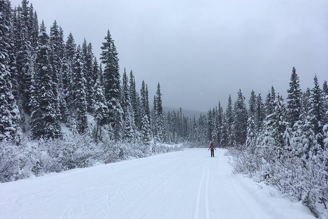 Learn to Cross Country Ski in Lake Louise - Setting the Scene: What to Expect on the Tour