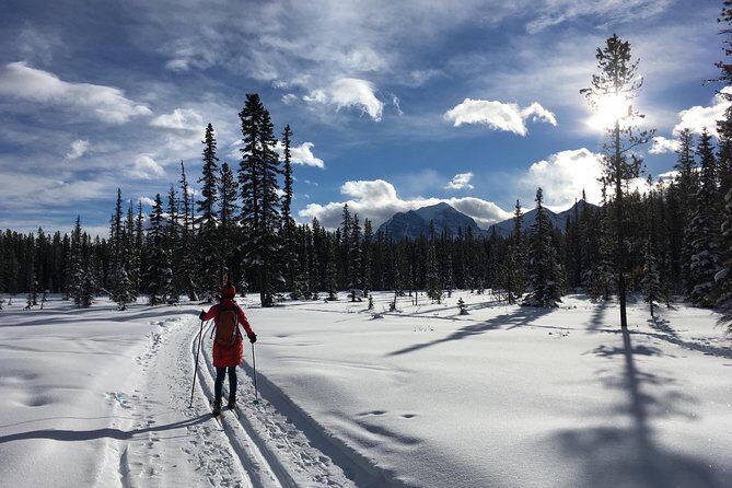 Learn to Cross Country Ski in Lake Louise - The Value of This Experience