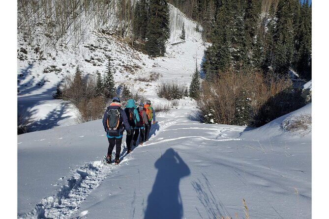 Learn to Ice Climb! Half-Day All Abilities near Breckenridge - Who Should Sign Up?