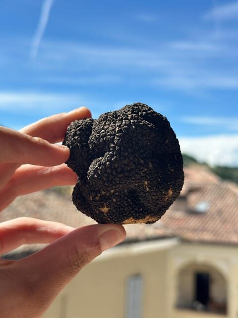 Learn To Make Fresh Pasta in the heart of food valley - Exploring the Italy of Your Dreams—One Pasta at a Time