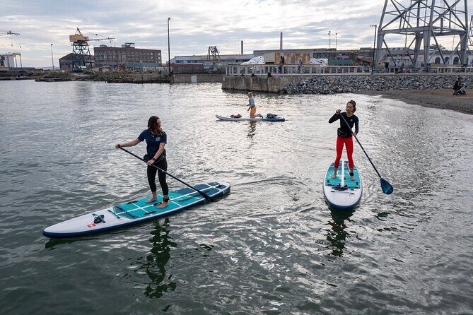 Learn to Paddle Board on the San Francisco Bay! - What to Expect From the Lesson