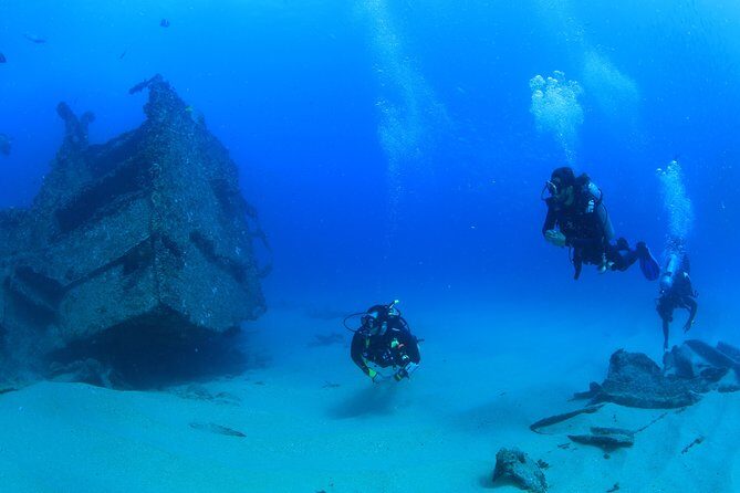Learn to Scuba Dive in Cabo San Lucas with PADI - Exploring the "Learn to Scuba Dive in Cabo San Lucas with PADI" Tour