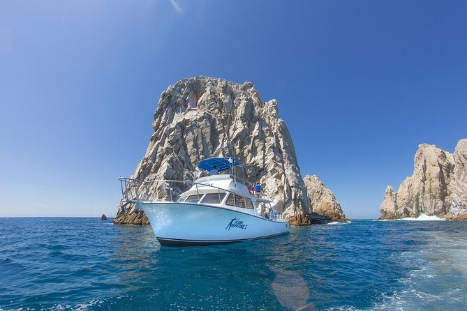 Learn to Scuba Dive in Cabo San Lucas with PADI - Review Highlights: Authentic Traveler Feedback