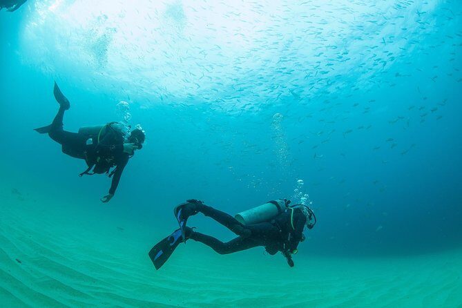 Learn to Scuba Dive in Cabo San Lucas with PADI - Practical Tips for Future Divers