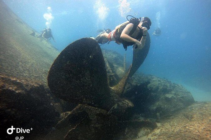 Learn to Scuba Dive in Punta Cana - Practical Details: Transportation, Group Size, and Booking Tips