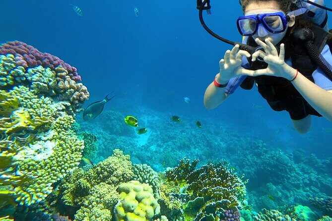 Learn to Scuba Dive with a Professional Instructor in Key Largo - All Inclusive - Who Is This Tour For?