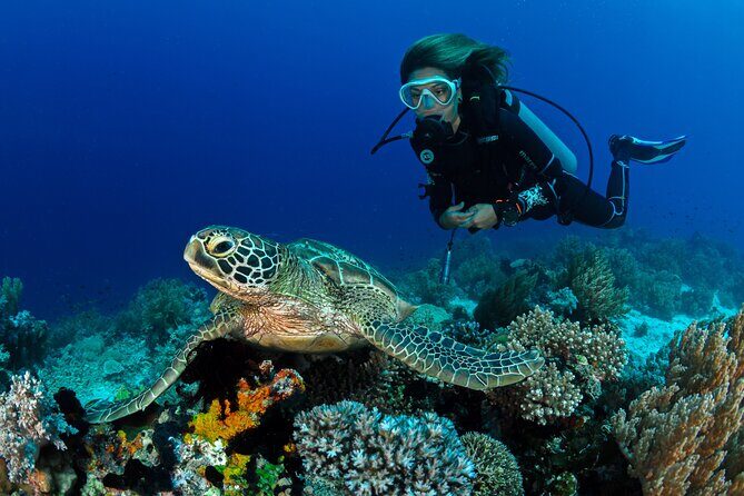 Learn to Scuba Dive with a Professional Instructor in Key Largo - All Inclusive - Value for Money: Does It Stack Up?