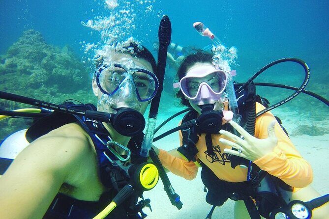 Learn to Scuba Dive with a Professional Instructor in Key Largo - All Inclusive - Why This Tour Shines