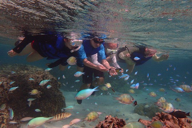 Learn to Stand Up Paddleboard! Includes 5 Star Snorkeling Tour! - Who Will Love This Tour?