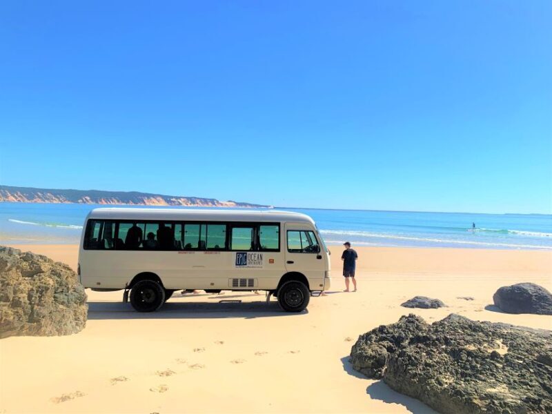 Learn to Surf Australia's Longest Wave & Beach Drive Tour - Key Points