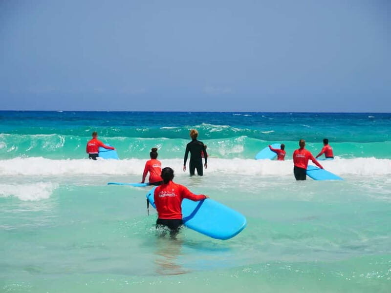 Learn to Surf in the north of Fuerteventura! - Learn to Surf in the North of Fuerteventura!