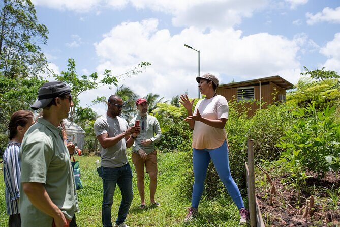 Learning about Medicinal Plants of Puerto Rico - Group Size, Price, and Practical Details